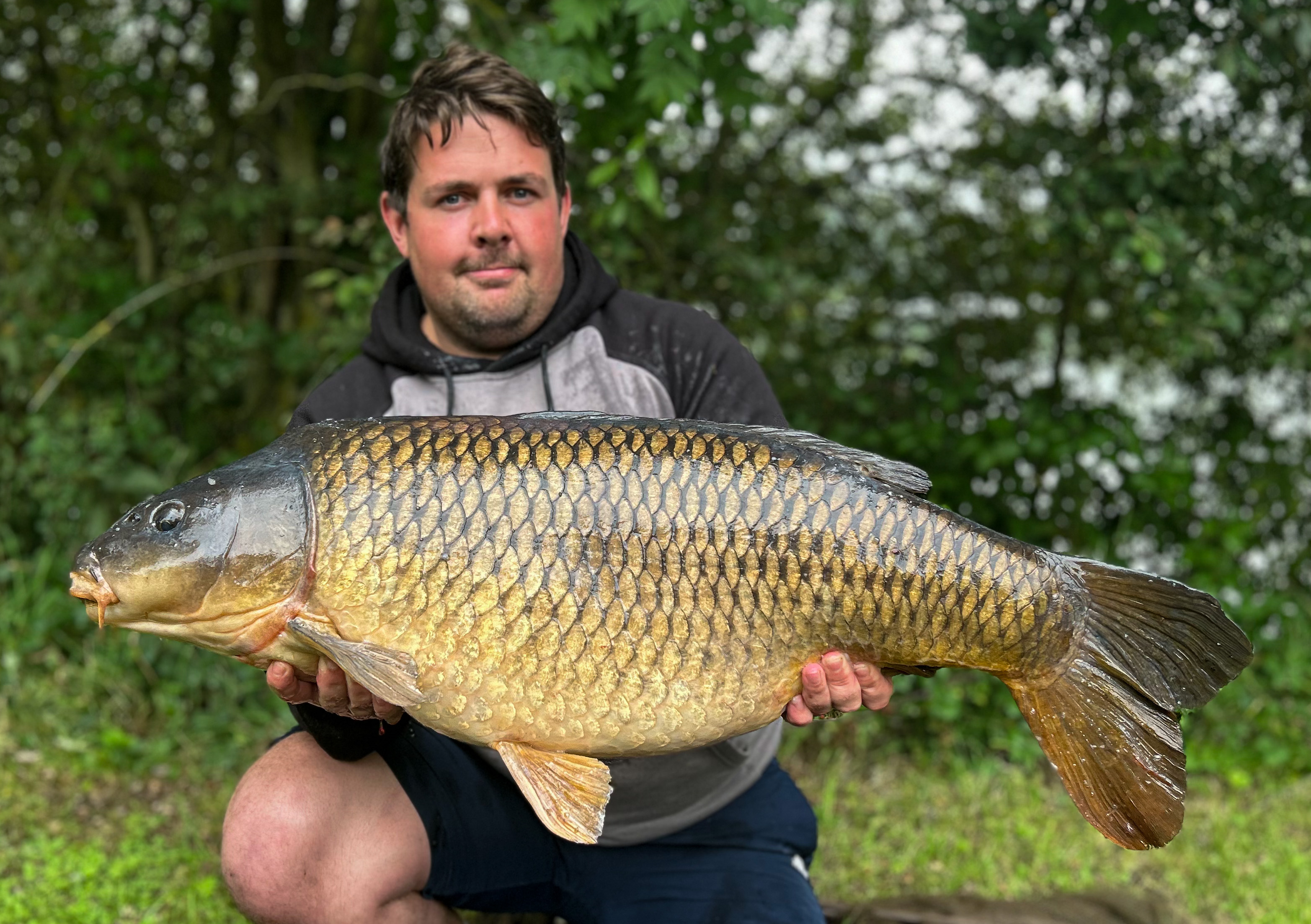 Farriers common | Total Carp